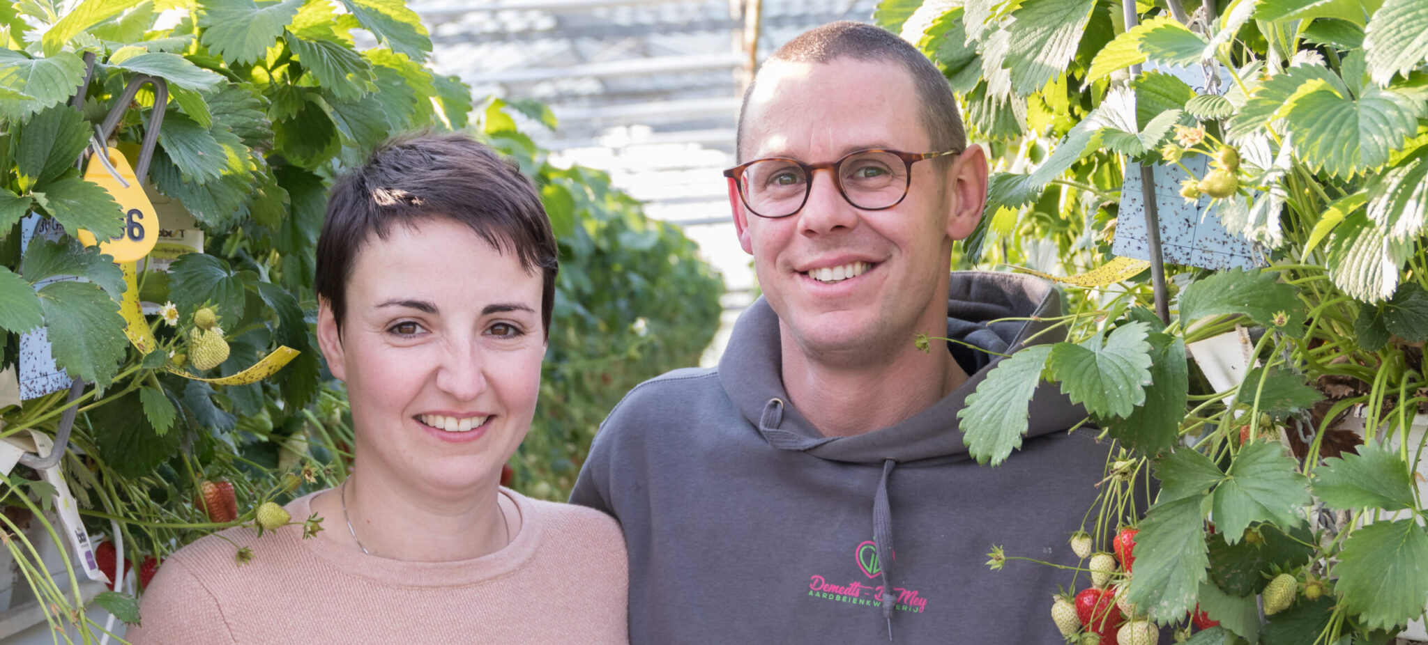 Over Ons – Demets-Demey